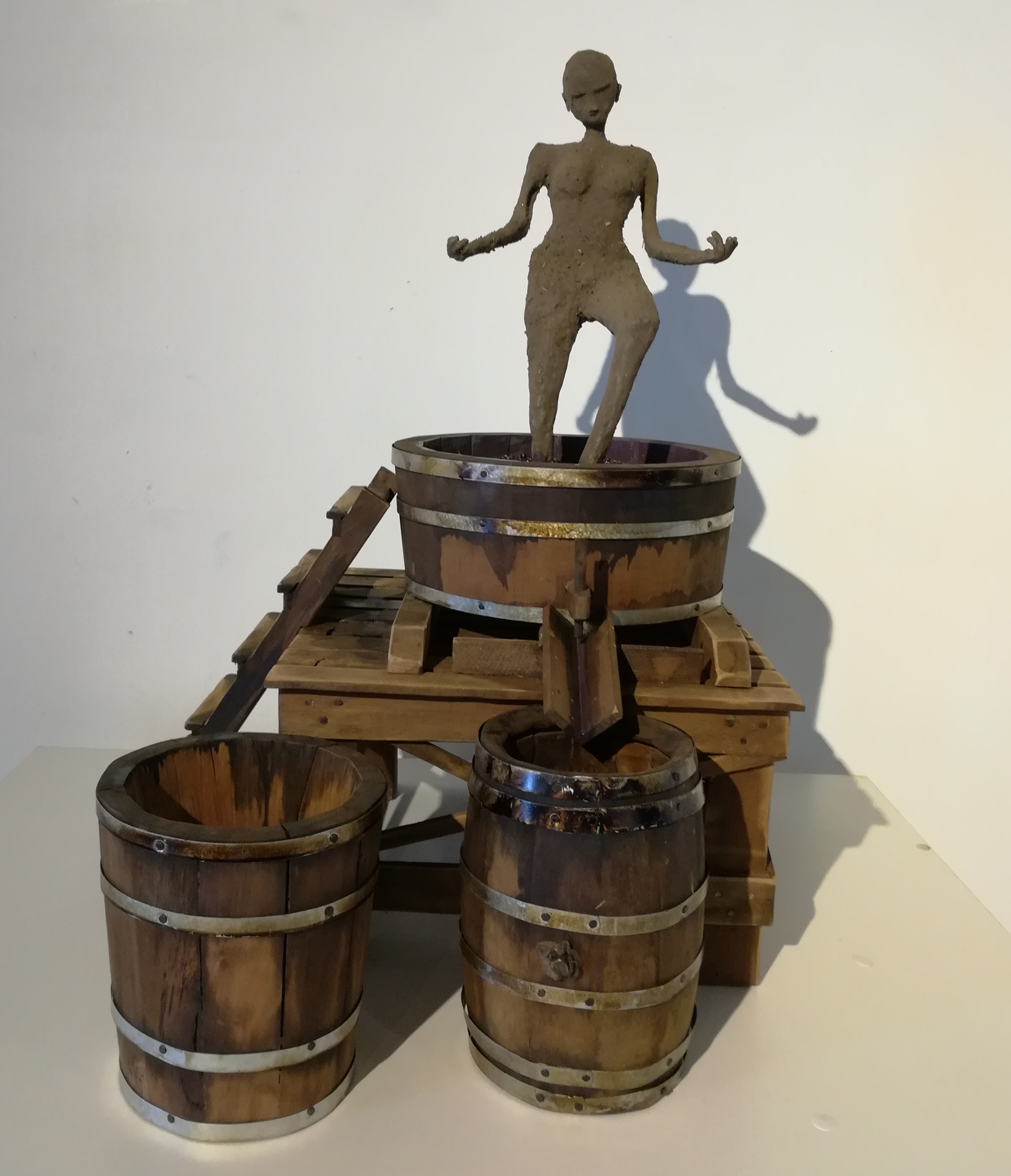 Exhibición temporal "El proceso de las vides" | Museo Regional de Rancagua